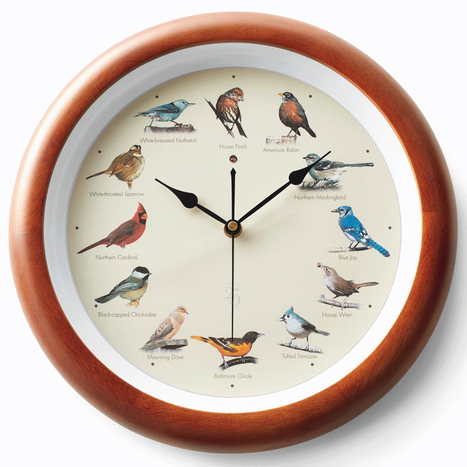 Singing Bird Clock | Ginny's