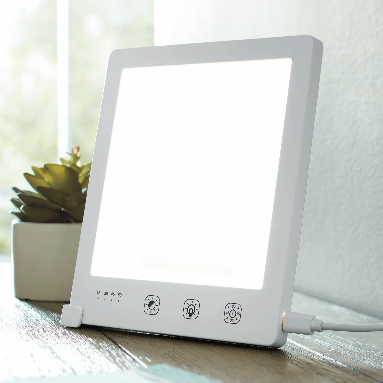 LED Daylight Lamp | Ginny's