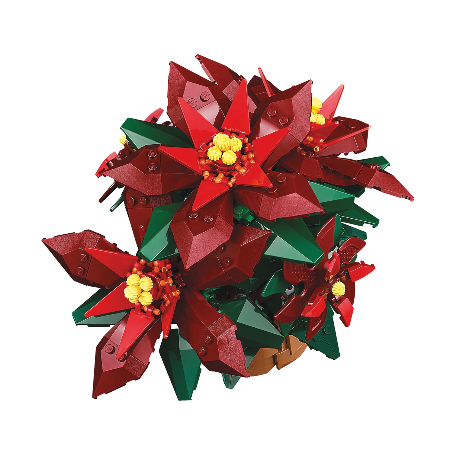 LEGO Botanicals Poinsettia | Ginny's