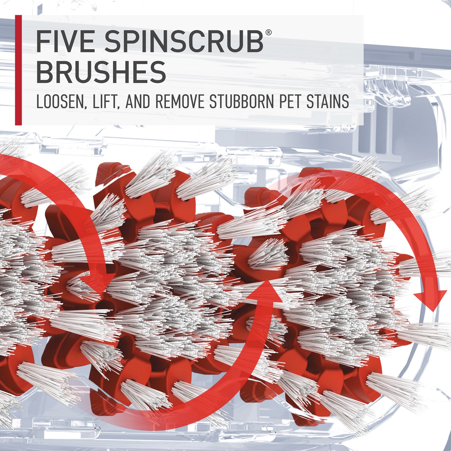 Hoover Turbo Scrub Carpet Cleaner | Ginny's